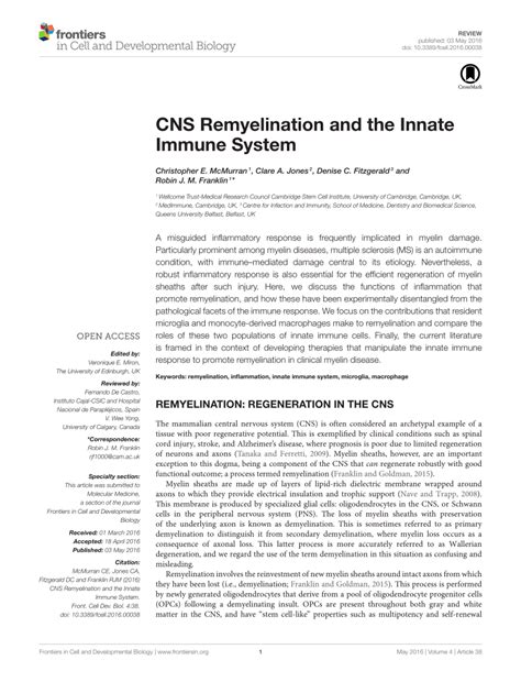 Pdf Cns Remyelination And The Innate Immune System