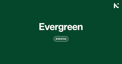 Evergreen Color Meaning Hex Code Palettes Images