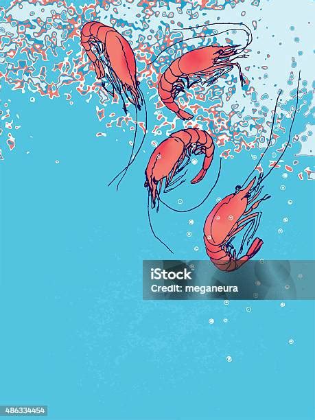 Udang Dalam Air Ilustrasi Yang Digambar Sketsa Doodle Selebaran Desain