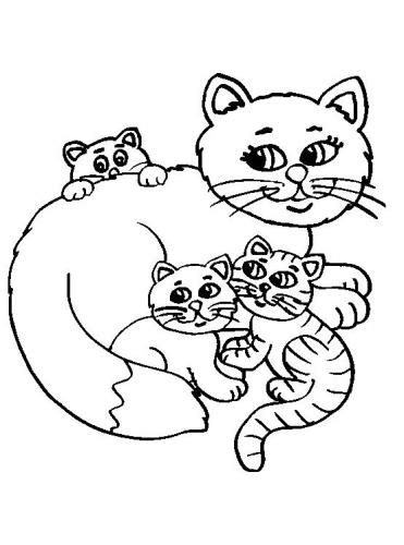 Disegni Da Colorare Cuccioli Di Gatto Disegni Per Bambini Da Stampare