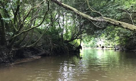 Dommel Van Neerpelt Tot Valkenswaard