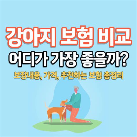강아지 보험 비교 보장내용 총정리 보험사 5곳 펫보험 비교 후기 Car 인슈어