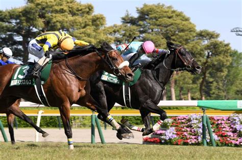 重賞勝ち馬速報 サンスポzbat