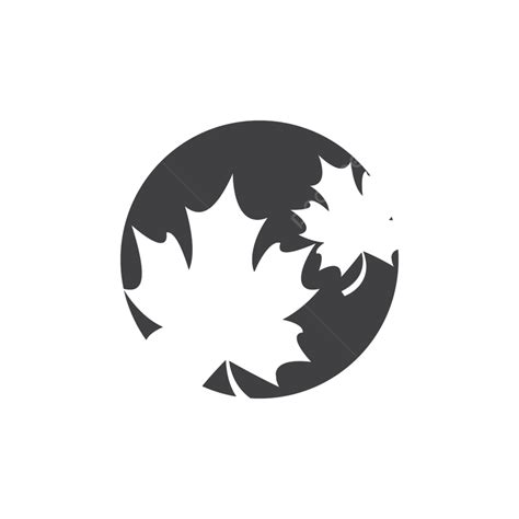 Watercolor Maple Leaf Vector Png Images Maple Leaf Vector Illustration