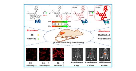 Carbon Monoxide A Second Biomarker To Couple With Viscosity For The