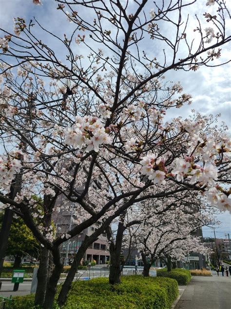 稲城市総合体育館ボクシングエクササイズ教室冬の部終了 バーチャルボクシング®️協会代表理事 茂呂一雄・オフィシャルブログ