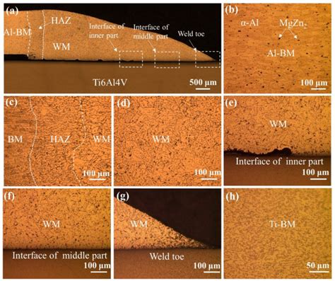 Typical Microstructure Of The Laser Fusion Brazed Joints At 6 A