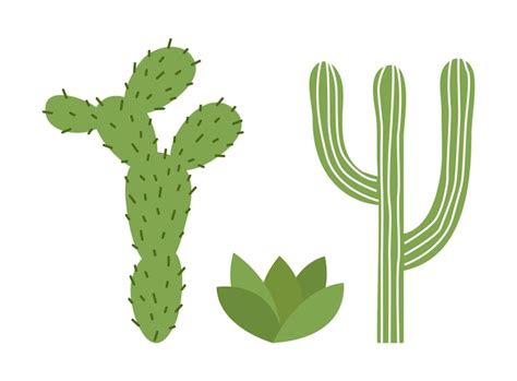 Conjunto De Cactos E Suculentas Opuntia Isolado No Fundo Branco Vetor Premium