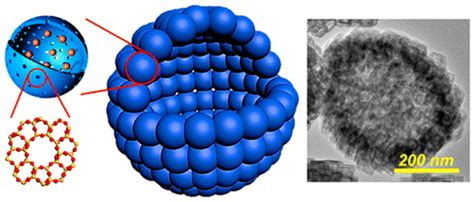 空心肺泡样纳米囊泡组件与金属封装的空心沸石纳米晶体acs Nano X Mol