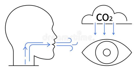 Human Breathing Process With Co2 Emissions And Eye Illustration Showing