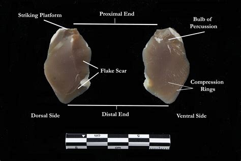 Cores And Debitage Exploring Spring Lake The Archaeology And Culture