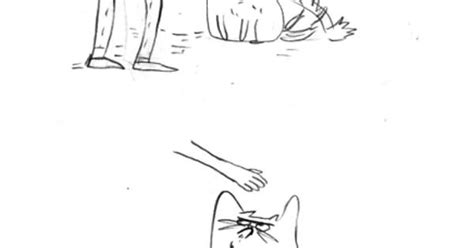How Cats React To Me In A Nutshell Imgur