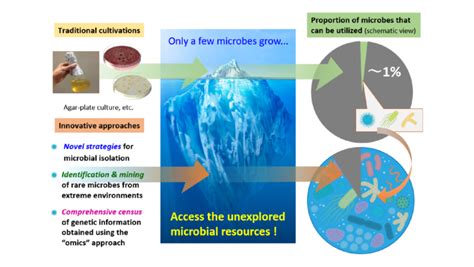 Exploration And Mining Of Rarely Cultivated Microorganisms In The