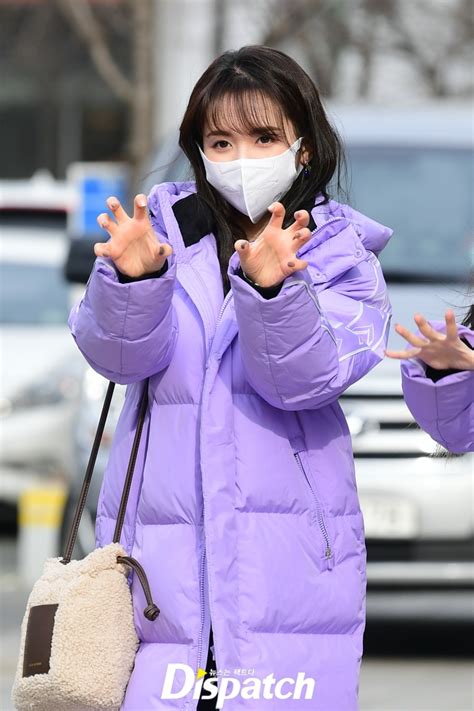 현장포토 한겨울에 꽃 피었네 케플러 상큼 꽃받침 디스패치 뉴스는 팩트다