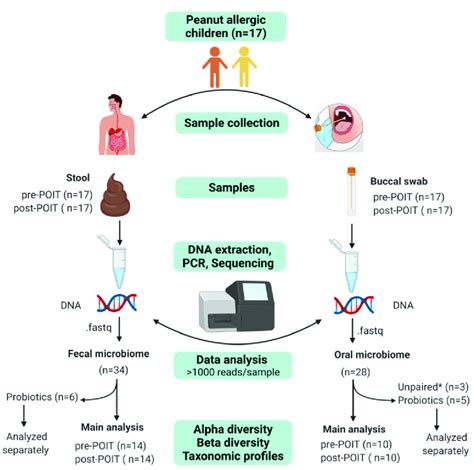 Flow Chart For Sample Collection And Data Analysis Three Unpaired Download Scientific