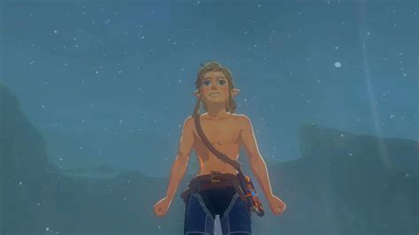 The Legend Of Zelda Breath Of The Wild Tutti I Tipi Di Abbigliamento