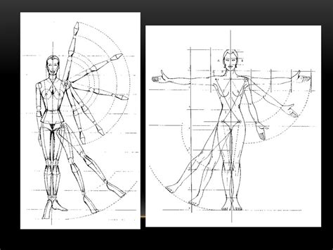 Пропорции фигуры человека и модельерский рисунок Online Presentation