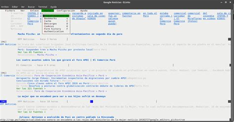 elinks：适用于linux终端的最佳web浏览器