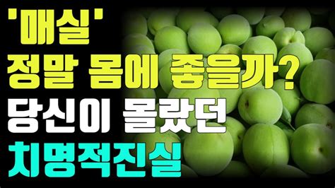 푸른 보약 매실 흔히 먹는 매실청의 비밀 당뇨 환자가 꼭 알아야 할 사실 이렇게 먹으면 위험하다 암과 치매를 예방하는 올바른 섭취 방법 Youtube