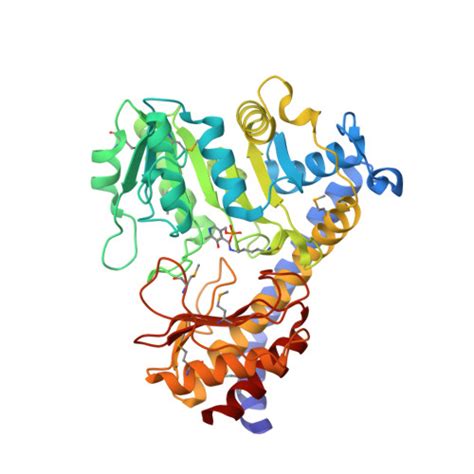 Rcsb Pdb 3jzl Crystal Structure Of A Putative Cystathionine Beta
