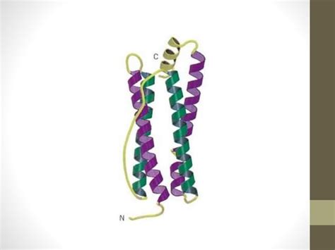 Supersecondary Structure Ppt Pptx