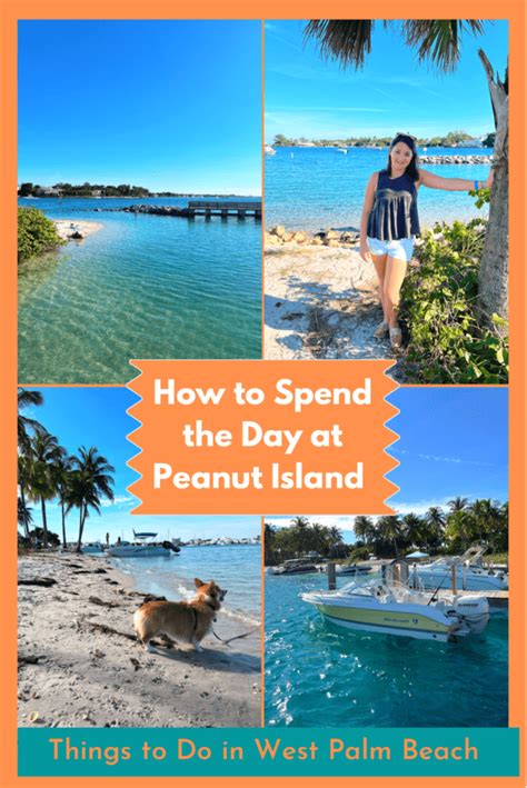 Peanut Island Artofit