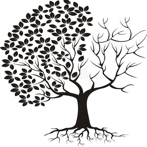 Tree Half Stock Illustrations 10387 Tree Half Stock Illustrations