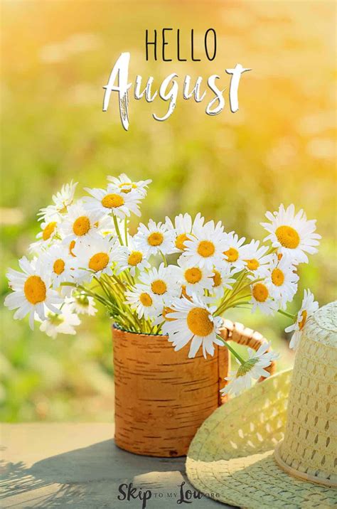 Hello August Wallpapers Wallpaper Cave