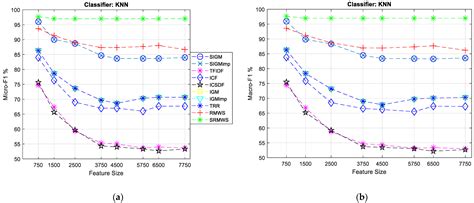 Effective Text Classification Through Supervised Rough Set Based Term Weighting