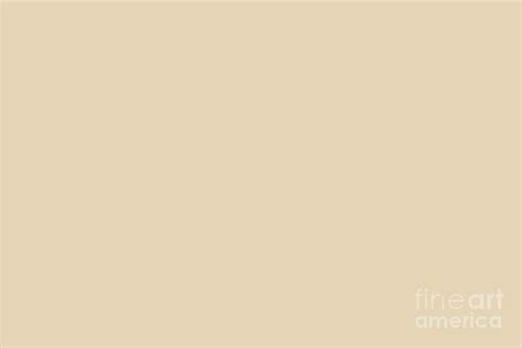 Neutral Warm Ivory Cream Solid Color Pairs Ppg Sugared Pears Ppg1088 3 Single Shade Hue Colour