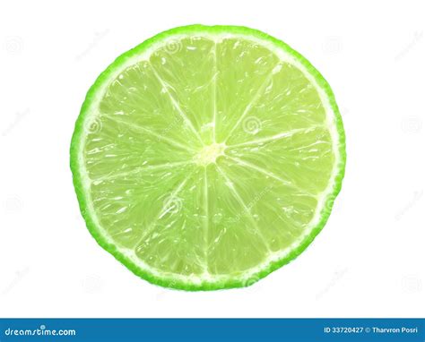 Fresh Lime Isolated On White Background Stock Image Image Of