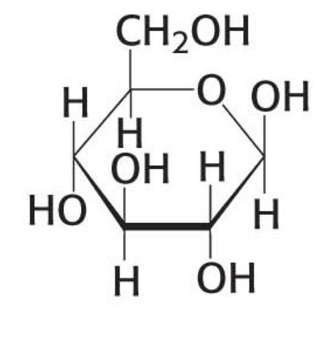 Biochem 2 Flashcards Quizlet