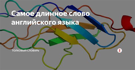 Самое длинное слово английского языка Толковый словарь Дзен