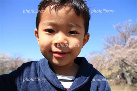 幼児4歳児と桜 写真素材 6034309 フォトライブラリー Photolibrary