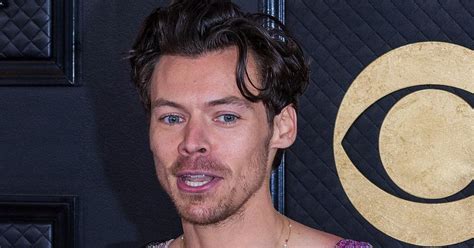 Exclusive Secrets Of Harry Styles 16million Sex Toy Empire Revealed