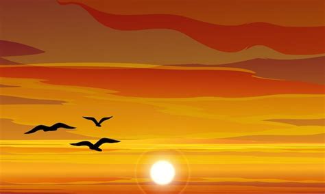 Premium Vector Sunset Sky
