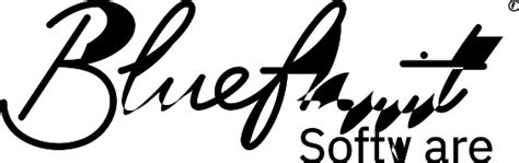 Software Developer Senior Software Developer Bluefruit Software