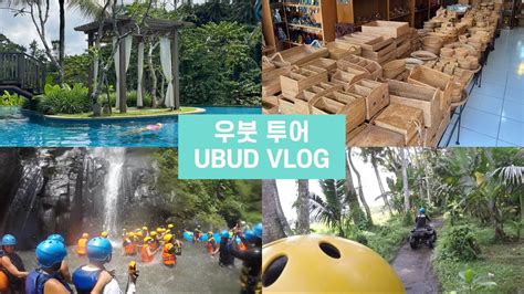 14박15일 발리여행 Bali Vlog 4 우붓3박4일 우붓 웨스틴 호텔 우붓 맛집 노티 누리스 우붓 카페 투어 우붓 정글
