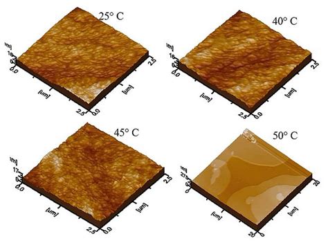 Atomic Force Micrograph Showing Detailed Surface Morphologies Of Films
