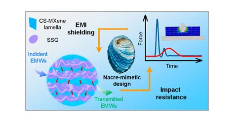 Nacre Mimetic Hierarchical Architecture In Polyborosiloxane Composites