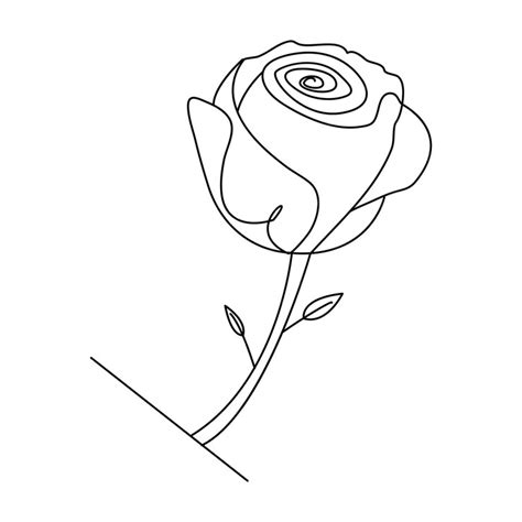 Premium Vector Continuous Beautiful Rose Flowers Single Line Drawing Vector Art