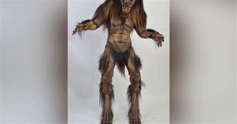 Reaccionan En Redes A La Nueva Mascota De Lobos Buap La Razón De México