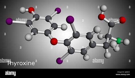 Thyroxine T4 Levothyroxine Molecule It Is Thyroid Hormone Prohormone Of Thyronine T3 Used