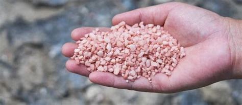 Pottasium Nitrate At Rs 350kg Dhone Id 2851696999362