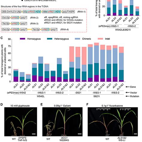 Journal Of Integrative Plant Biology Vol 65 No 4