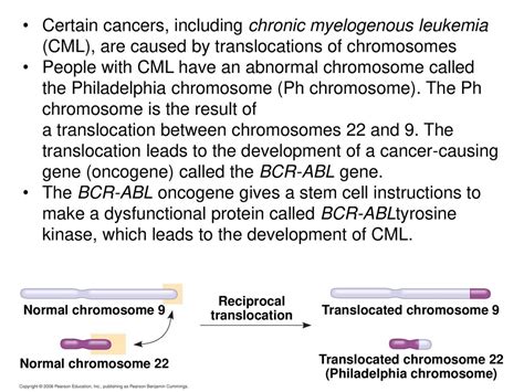 The Chromosomal Basis Of Inheritance Ppt Download