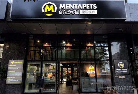 76 宠物店半营业状态有心思的店主给你这些建议 影响