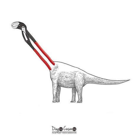 Architecture Courtesy Of Diego Cusano [ig] Facebook