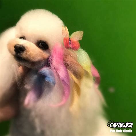 Pet Hair Chalk Grooming Value Pack 11 Different Colors