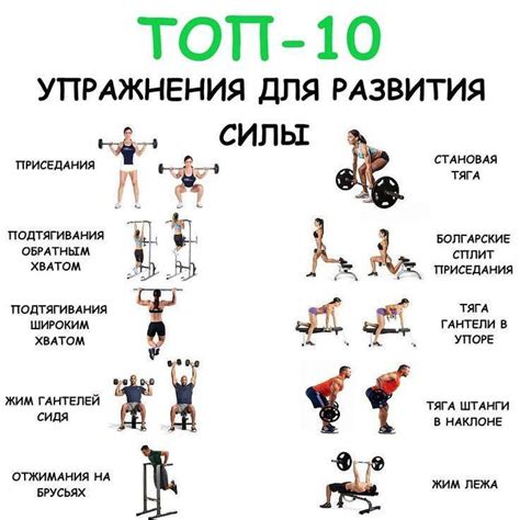 тренировка плеч и спины в один день упражнения